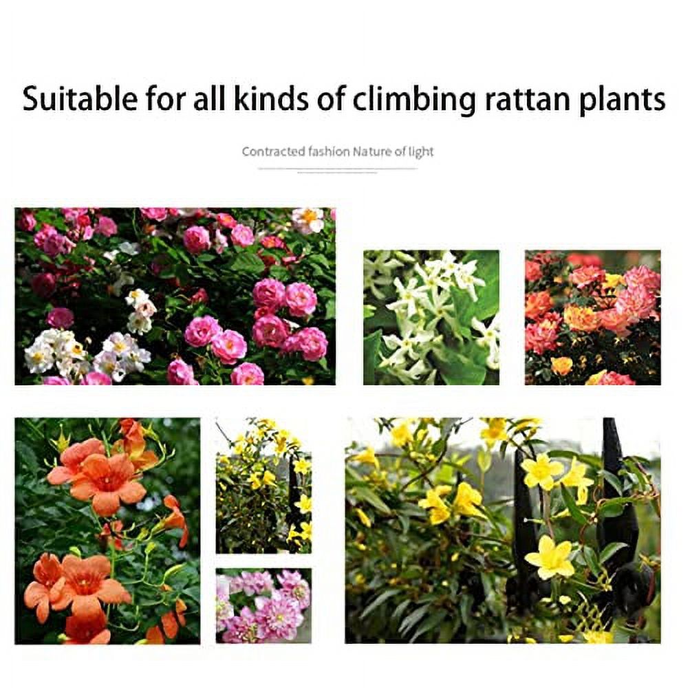 Garden Trellis for Vines and Climbing Plants,Rose Climbing Frame Wire ...