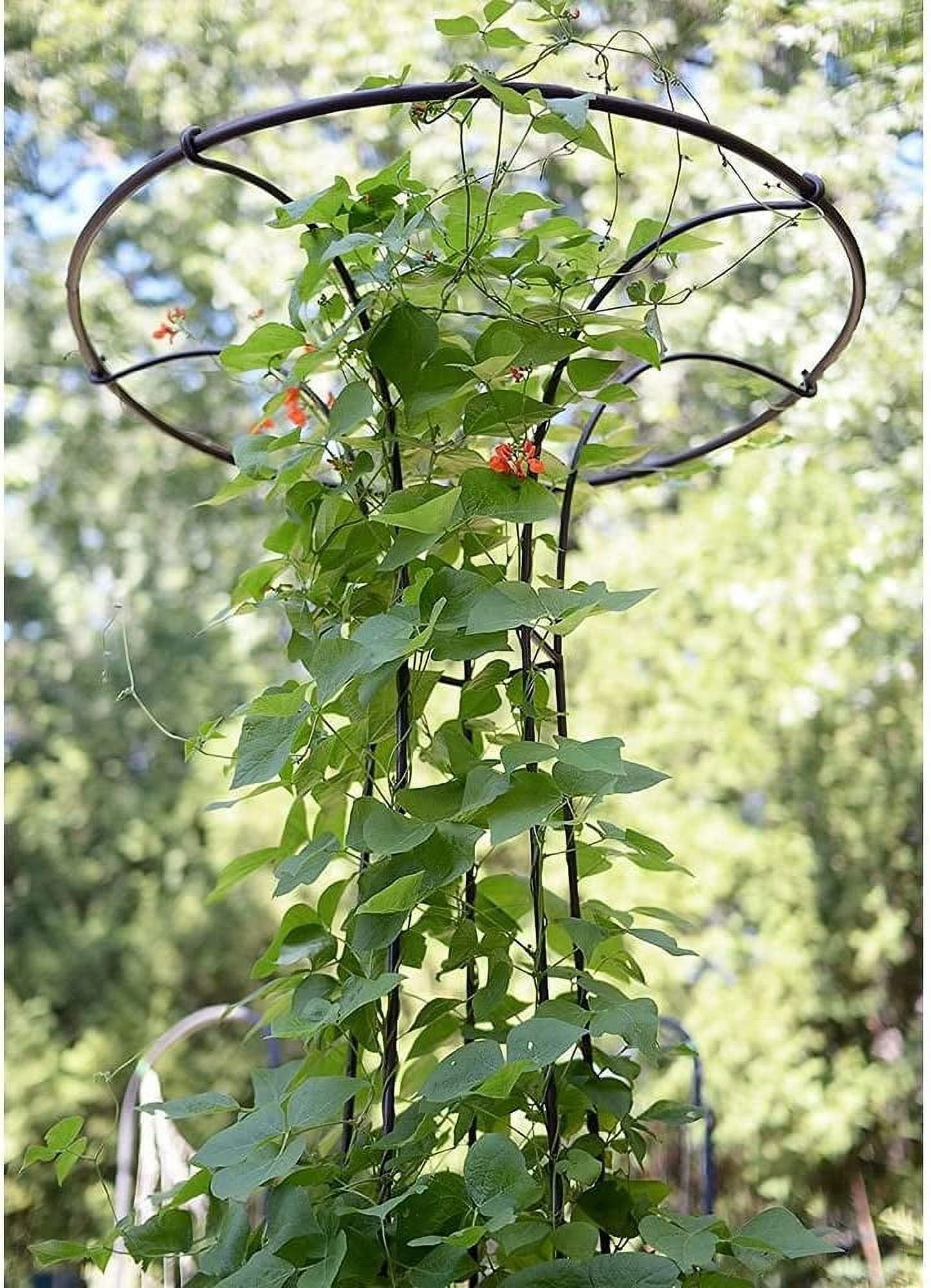 Garden Trellis for Climbing Plants Outdoor Trellis Support for Potted ...