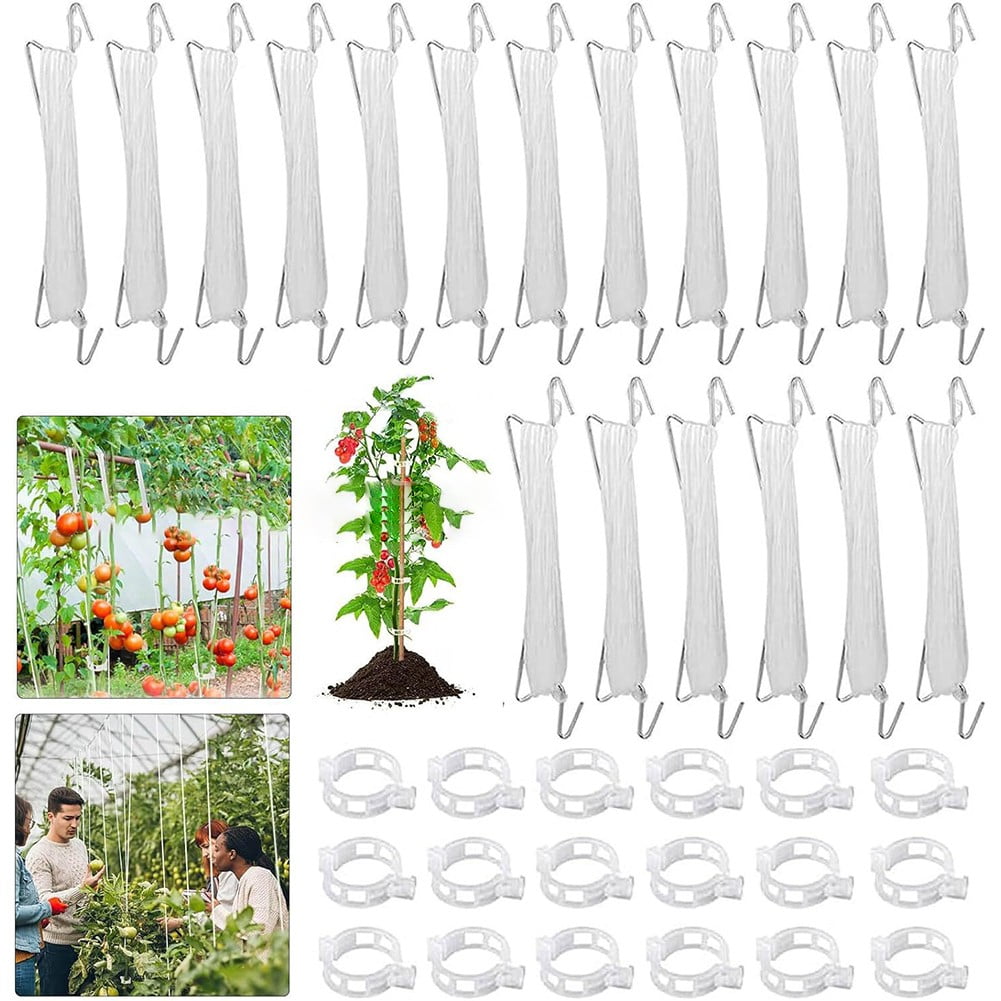 Garden Vegetable And Fruit Plant Vine Climbing Hook Strawberry Vines ...
