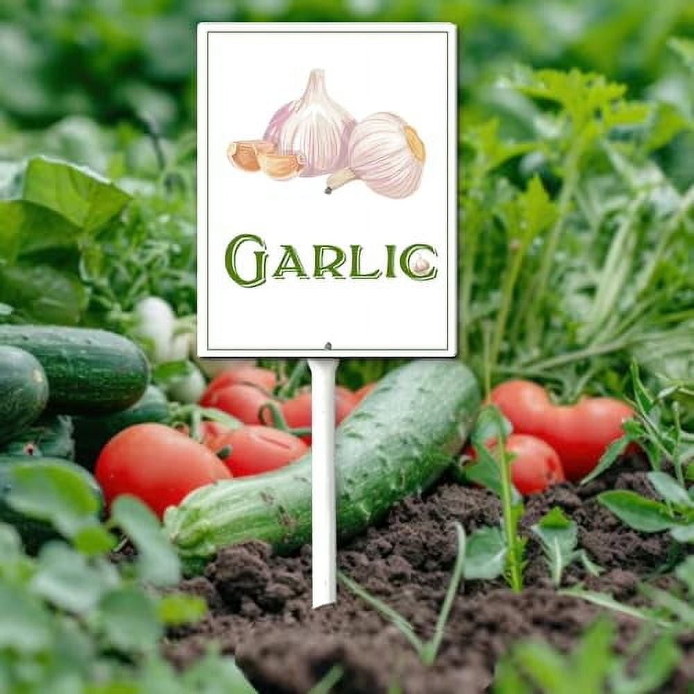 Garden Vegetable Signs With Stake Garlic Garden Signs For Vegetables ...