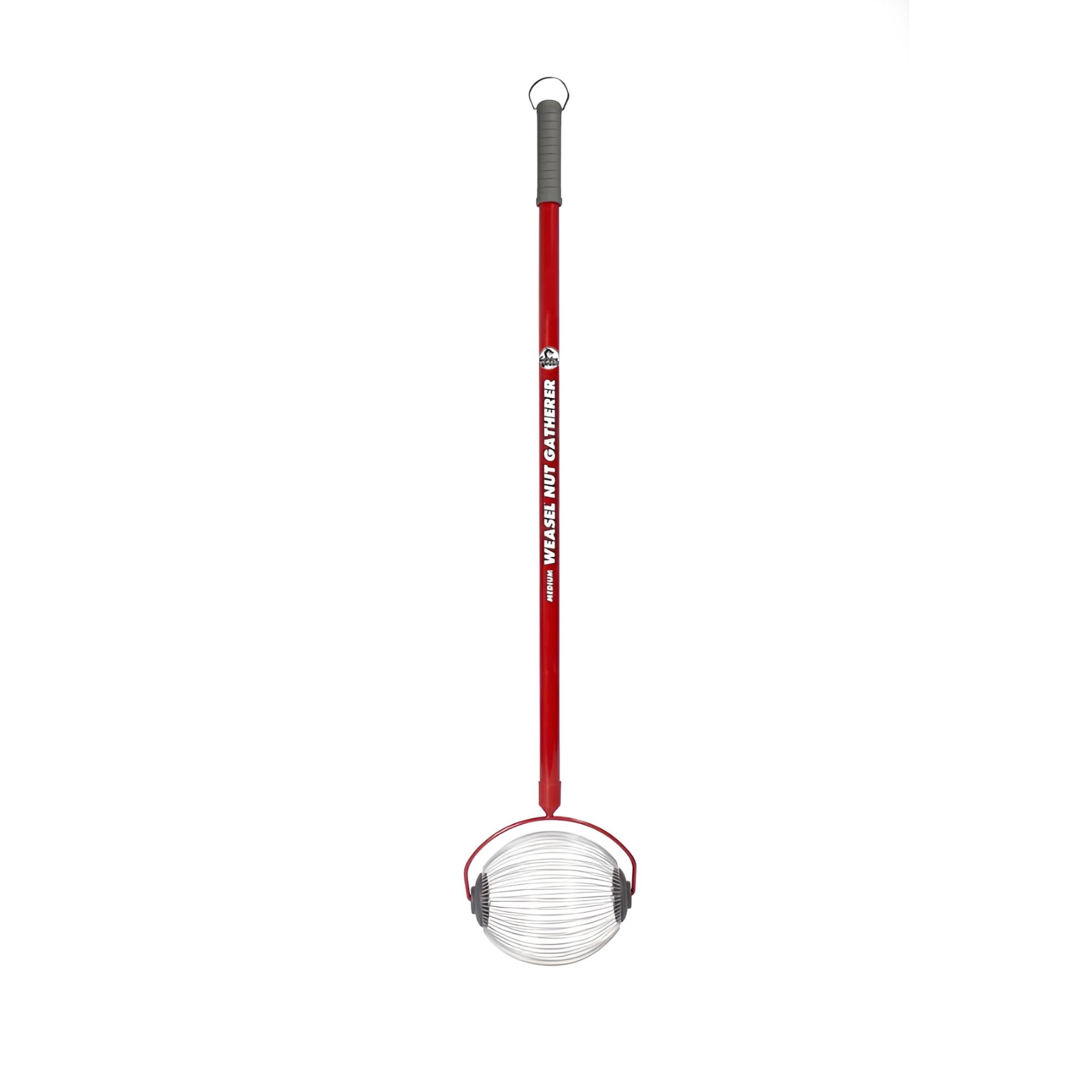 Garden Weasel Nut Gatherer - Medium - Walmart.com