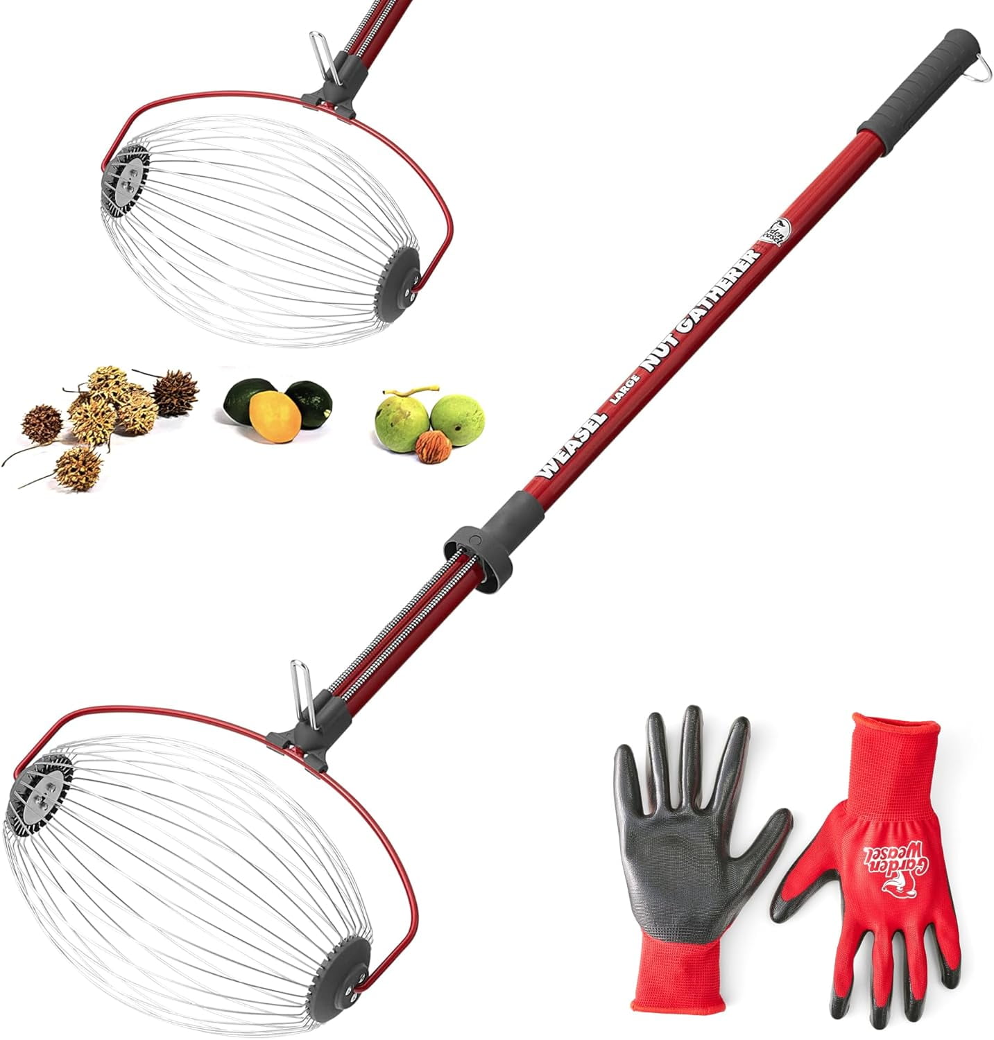 Garden Weasel Nut Gatherer - Large Cage Pick Up Walnuts, Small Apples ...
