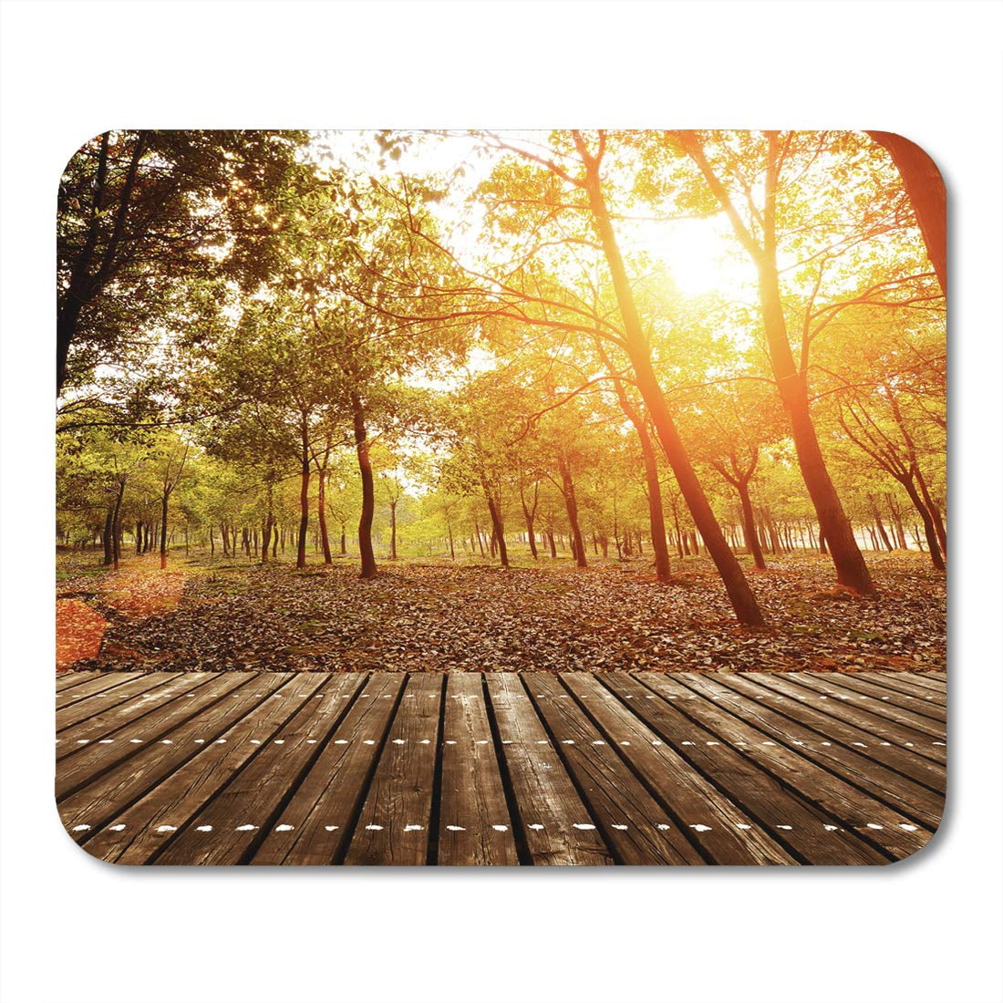 Garden Wooden Forest Trees Nature Green Wood Sunlight Floor Platform ...
