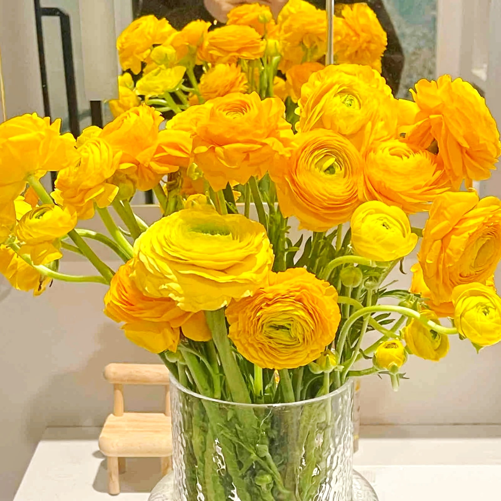 Garden decoration（Ranunculus）-Easy Planting - Walmart.com