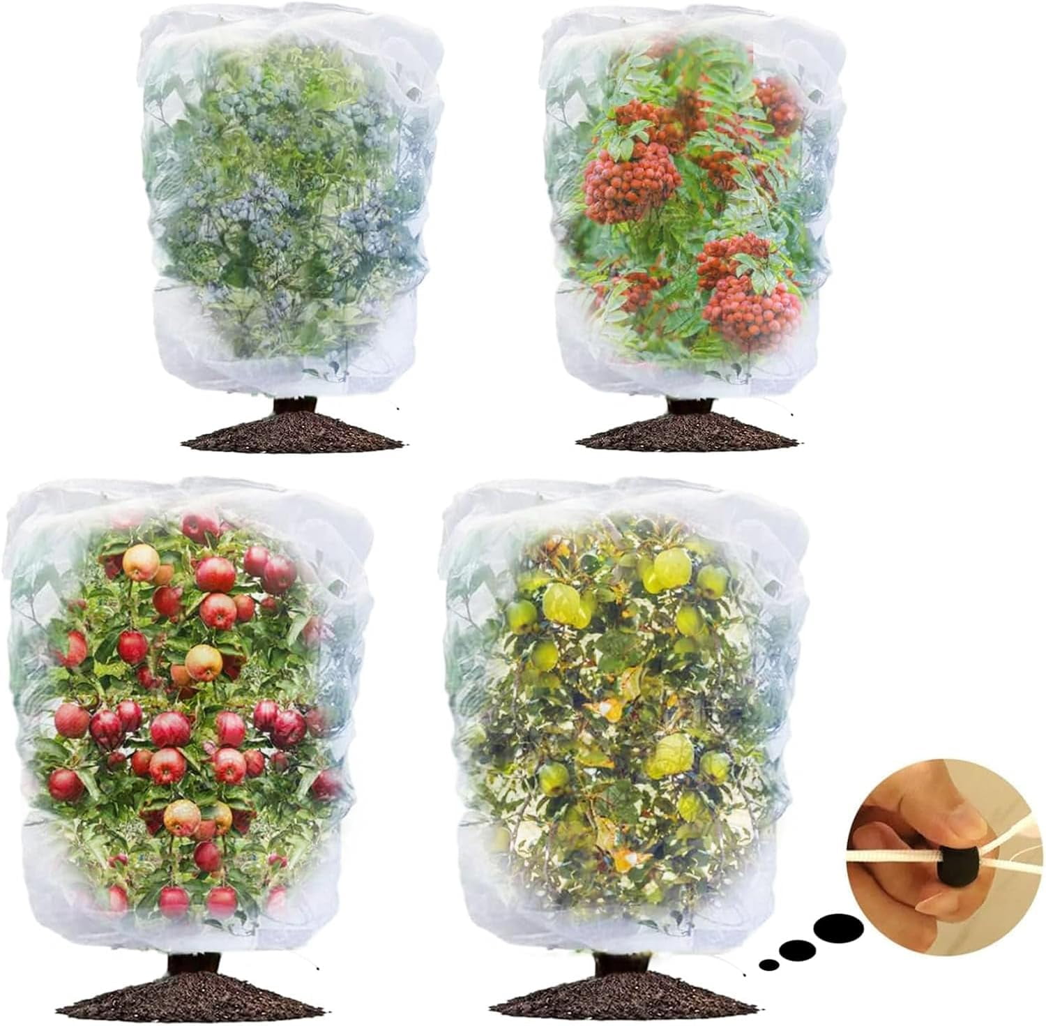 Garden plant protection net, blueberry shrub protection net bag, tomato ...