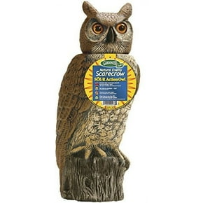 Owl Decoys