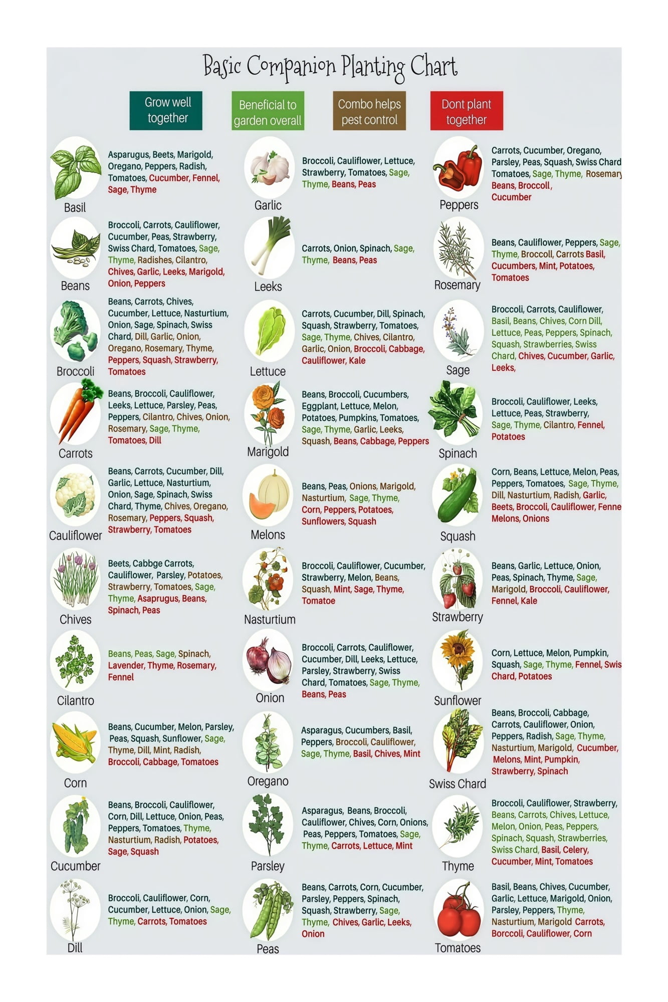 Gardener Companion Planting Chart Laminated Vegetable Herb Guide What ...