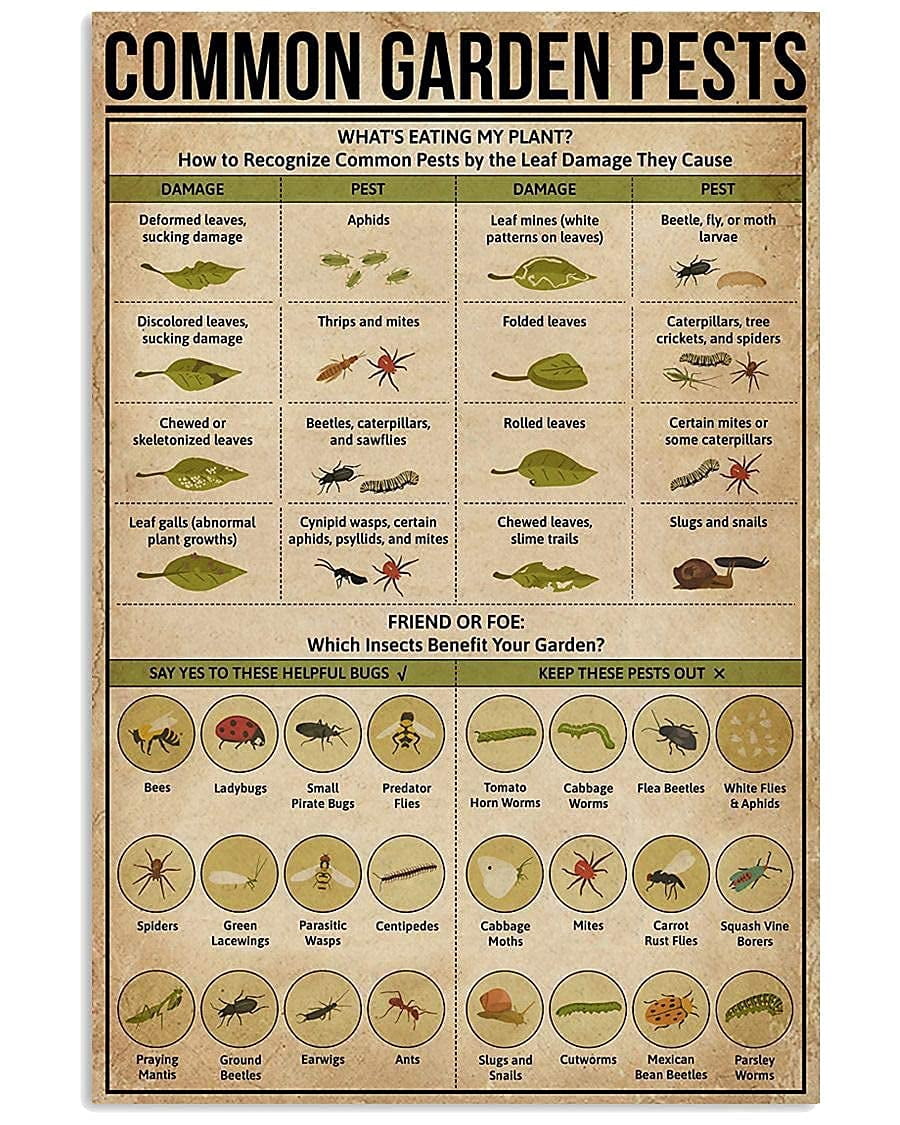 Gardener Knowledge Metal Signs Common Garden Pests Posters Garden Room ...