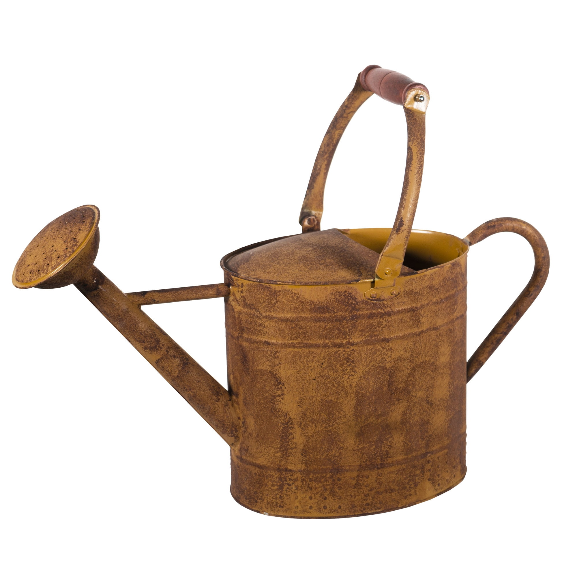 Rusty Watering Can