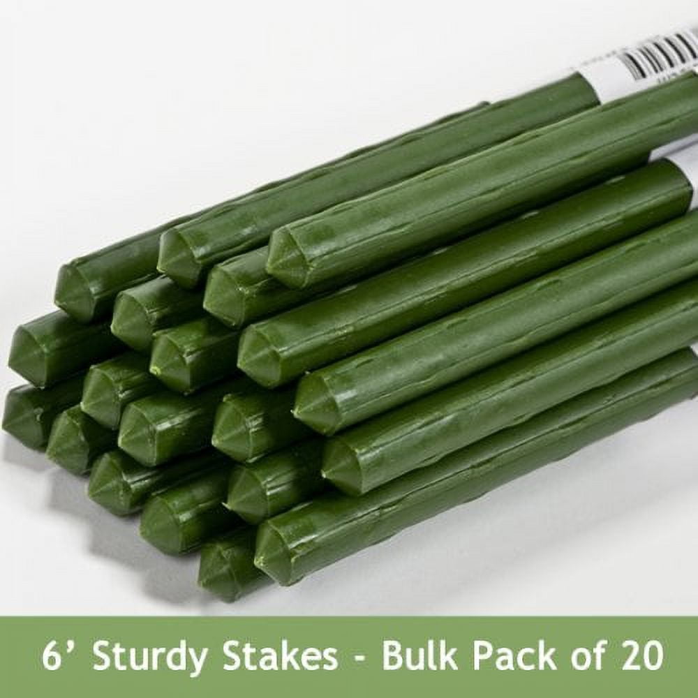 Gardener's Blue Ribbon ST6BULK Bulk Sturdy Stakes, 6-Feet (20 Pack ...