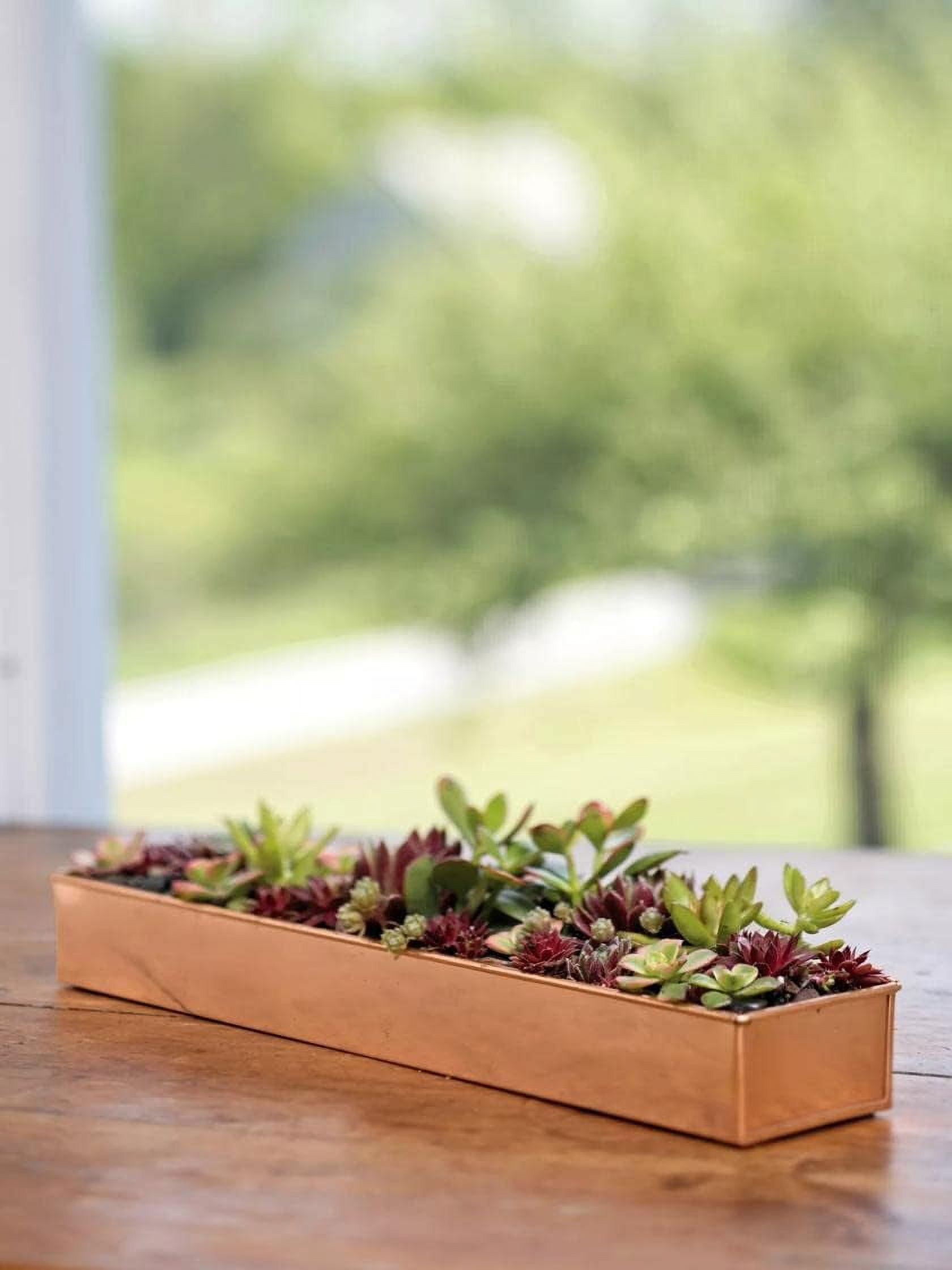 Gardener's Supply Company 18" Rectangular Copper Plant Tray ...