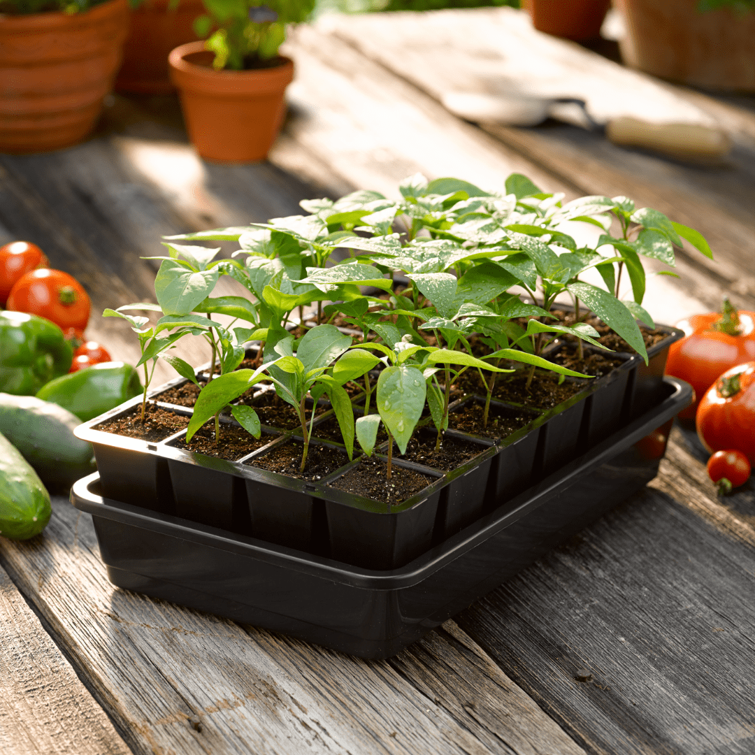 Gardener's Supply Company Grow Ease Seed Starting Kit, Self-Watering ...