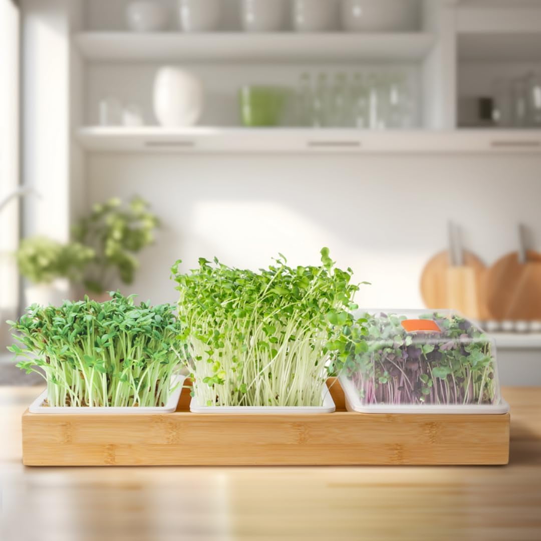 Gardener's Supply Company Bamboo Microgreen Growing Tray | Includes ...