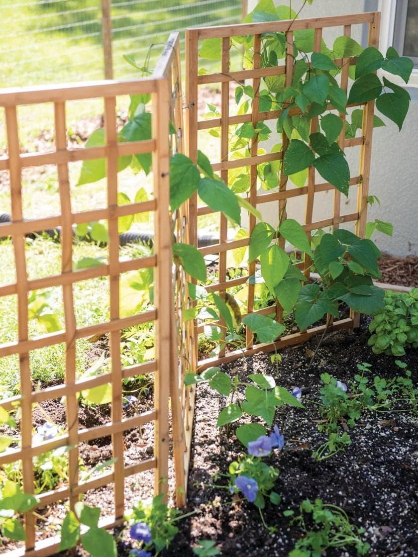 Gardener's Supply Company Bamboo Zig-Zag Trellis | Three hinged Panels ...
