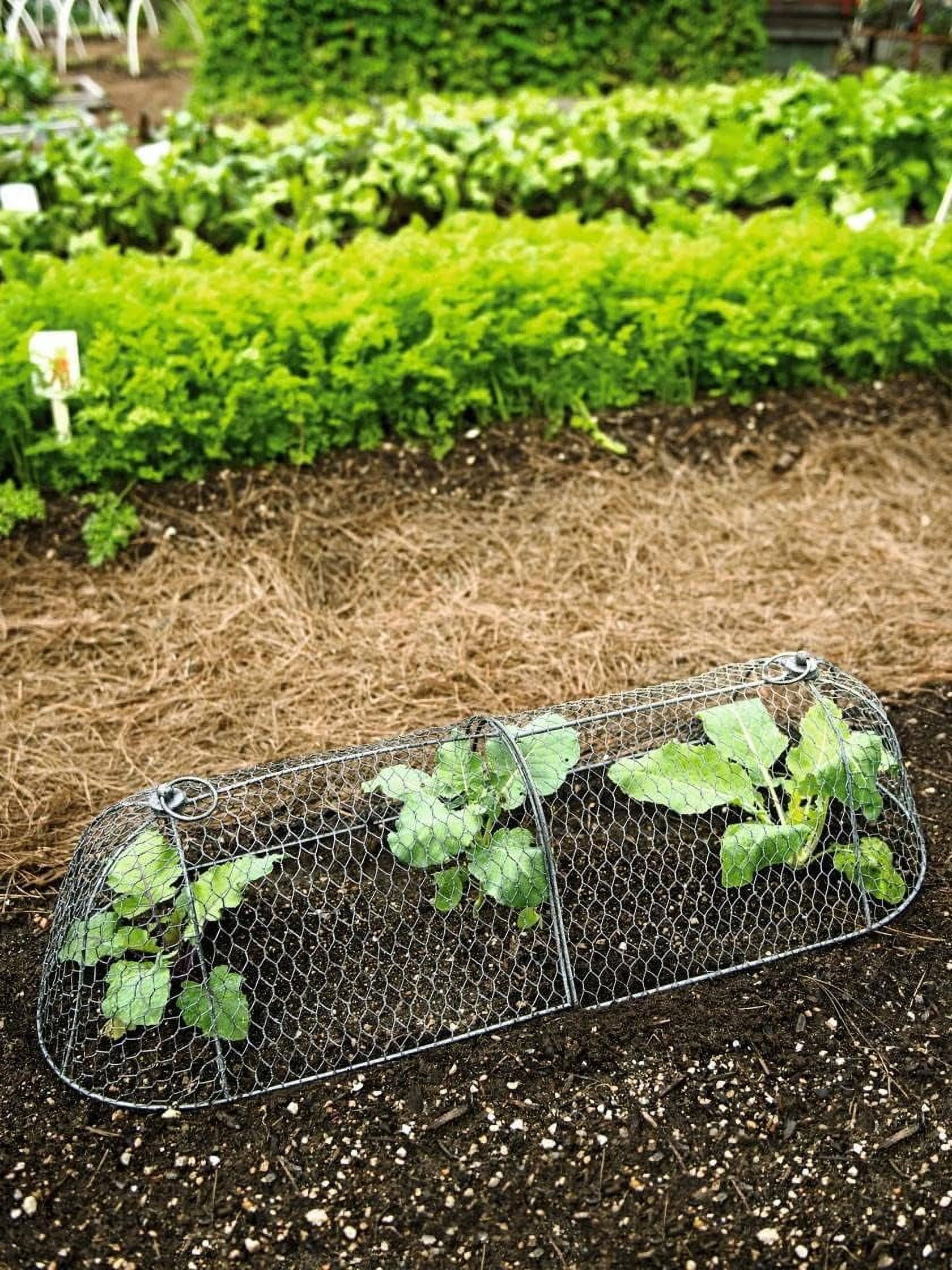 Gardener's Supply Company Chicken Wire Cloche Garden Plot Plants Cover ...