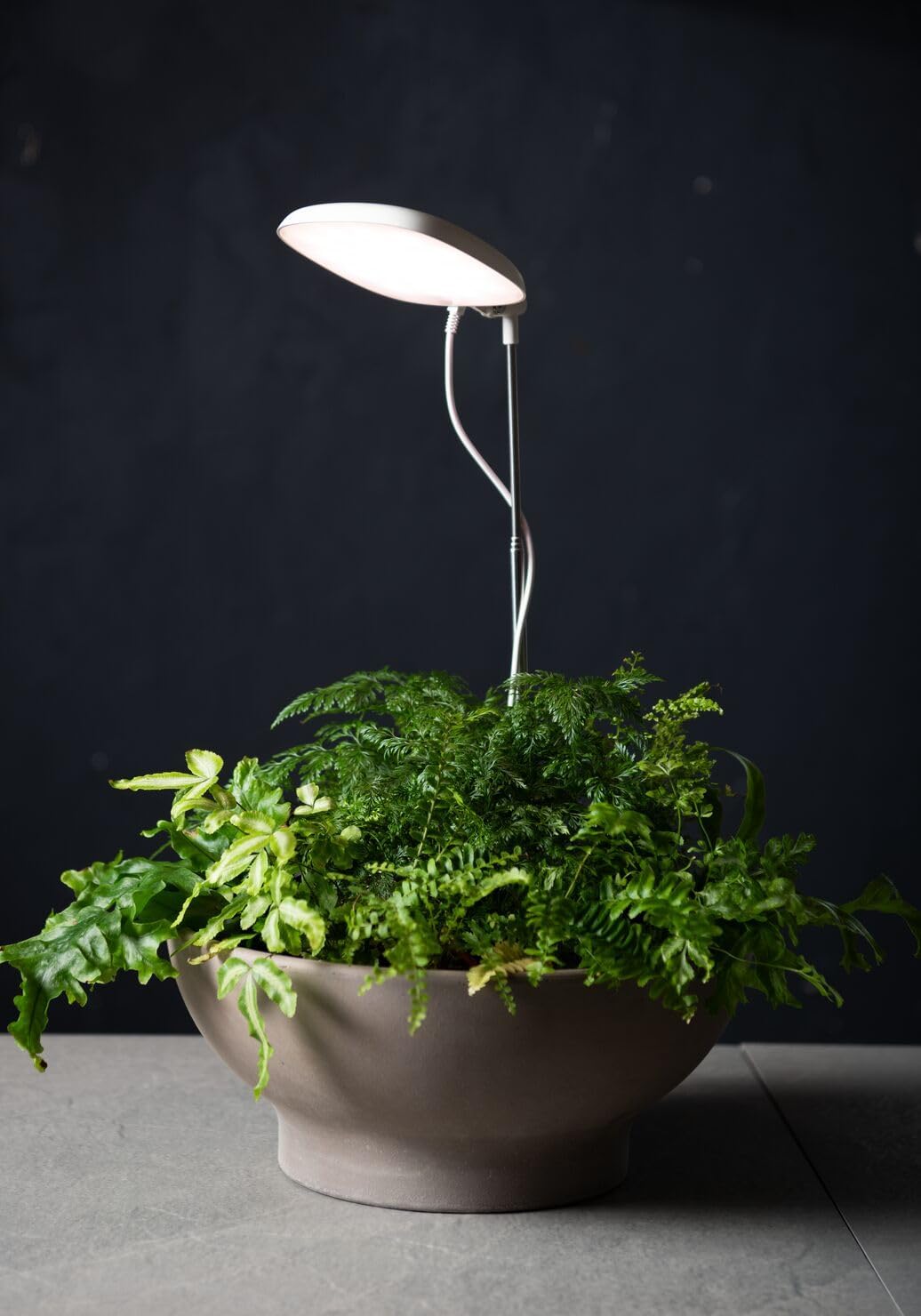 Gardener's Supply Company Clip on Adjustable Grow Light | LED Plant ...
