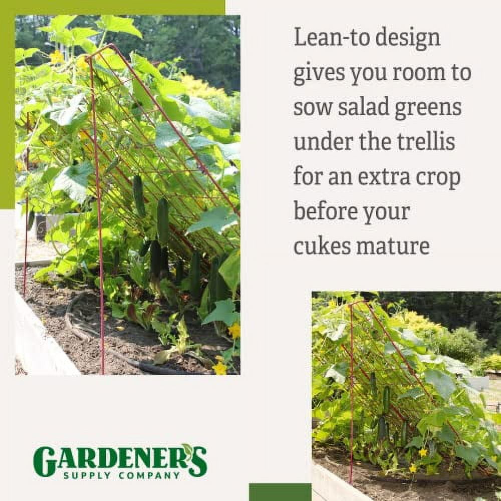 Gardener's Supply Company Cucumber Trellis | Garden Bed Support for Cucumbers & Climbing Plants ...