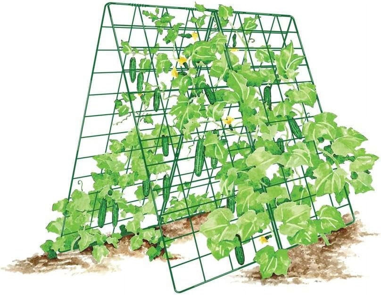 Gardener' s Supply Company Deluxe Cucumber Trellis | Outdoor A-Frame ...