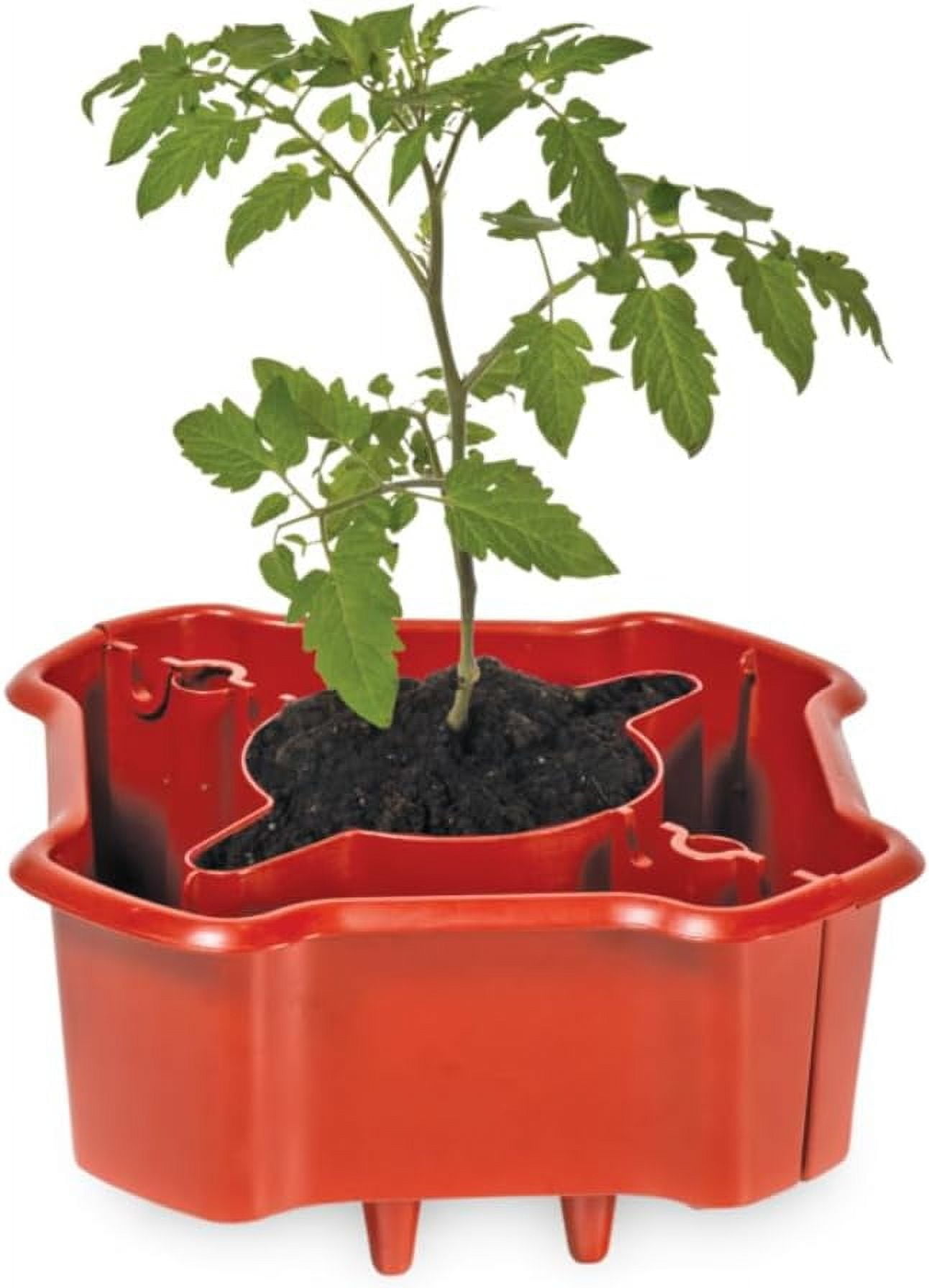 Gardener's Supply Company Deluxe Tomato Halo | Efficient Tomato Planter ...