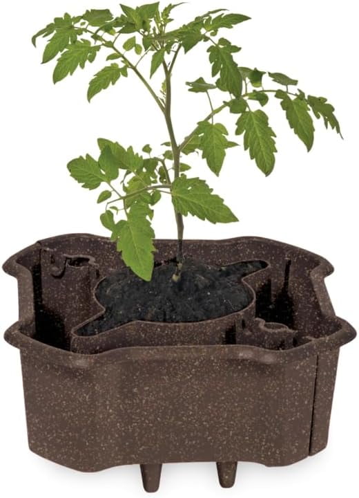 Gardener's Supply Company ECO Deluxe Tomato Halos | Self Watering ...