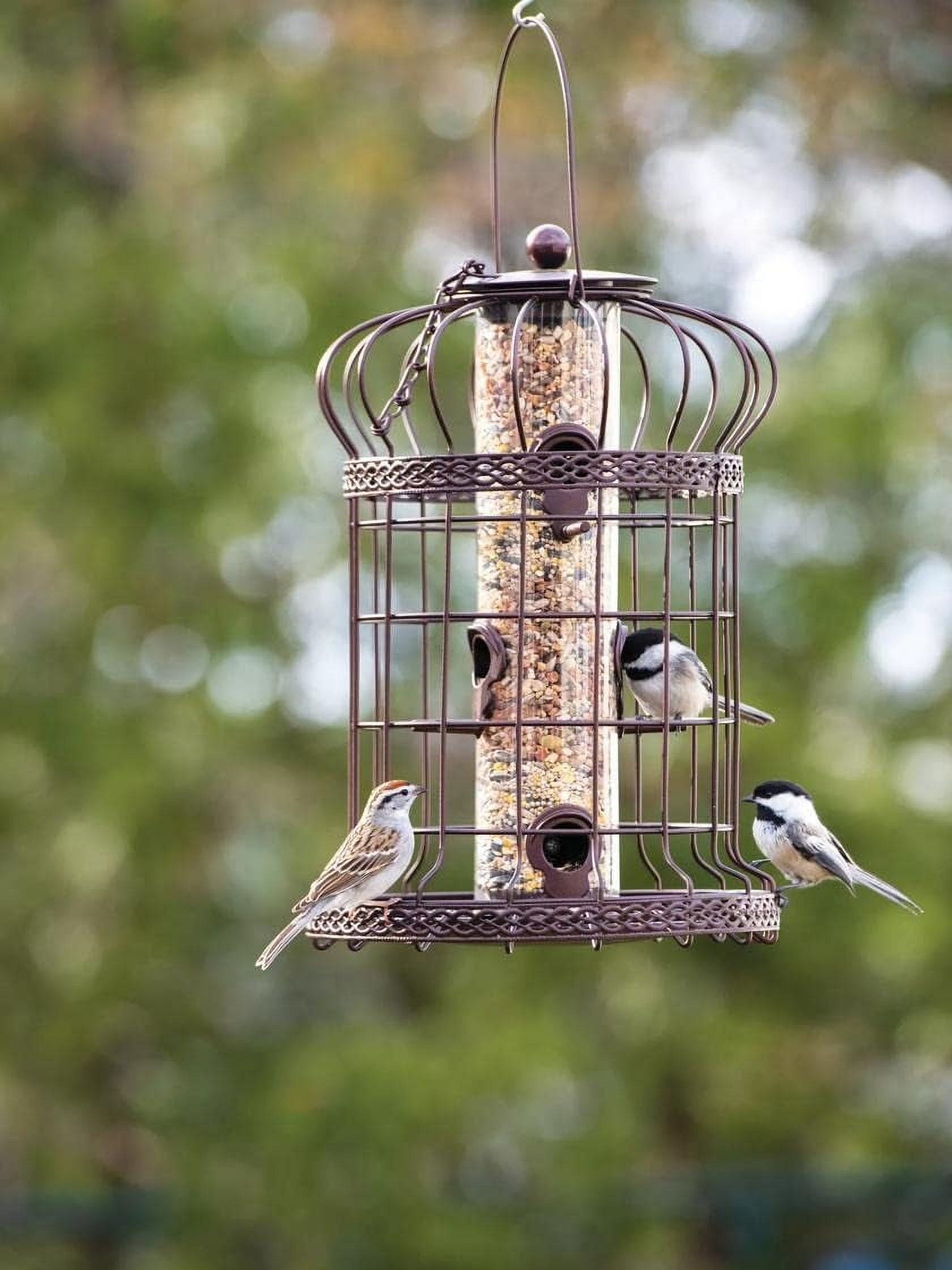 Gardener's Supply Company Edwardian Cage Bird Feeder | Sturdy Squirrel ...