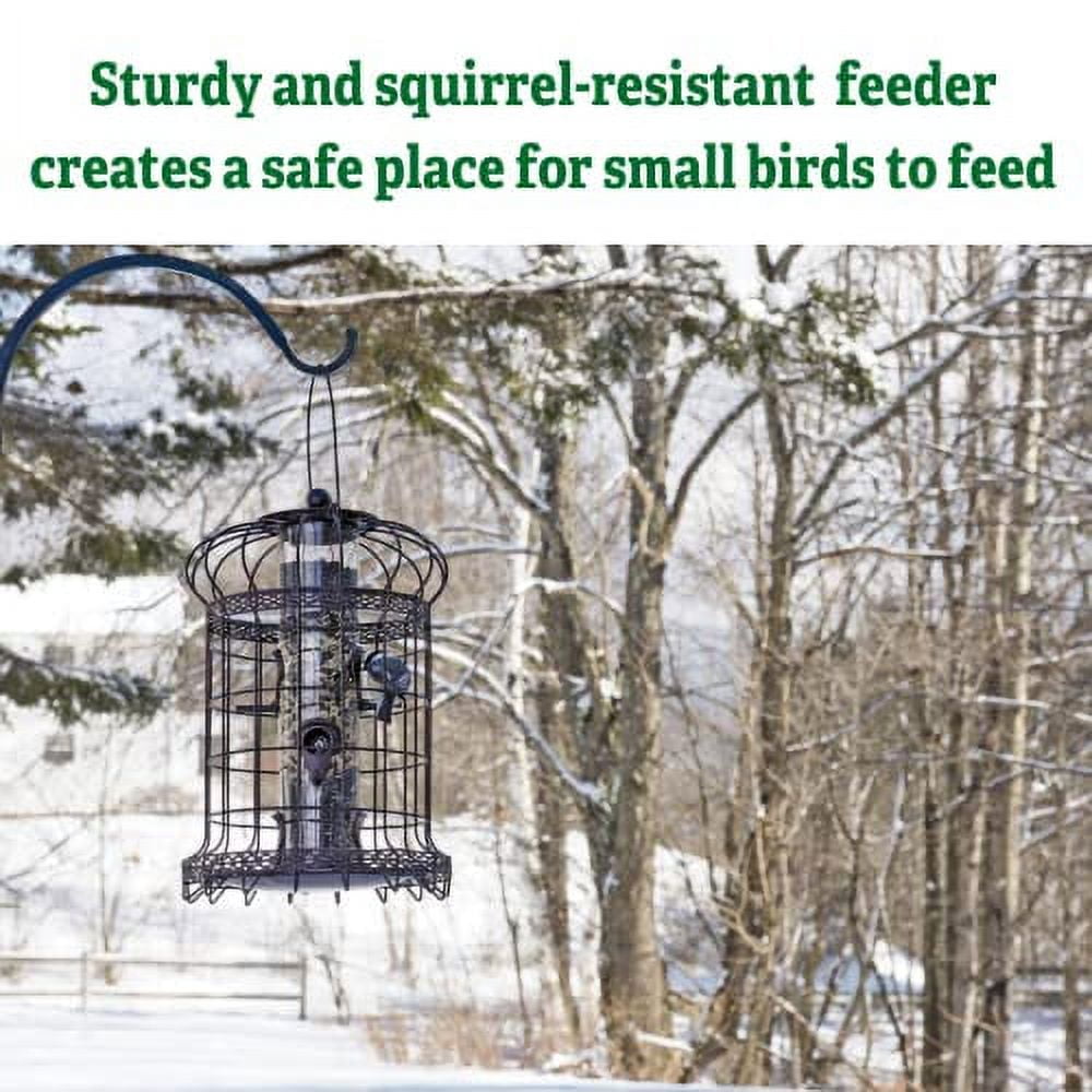 Gardener's Supply Company Edwardian Cage Bird Feeder | Sturdy Squirrel ...