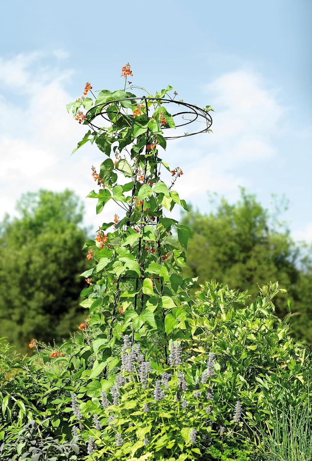Gardener's Supply Company Essex Trellis for Climbing Plants Outdoor ...