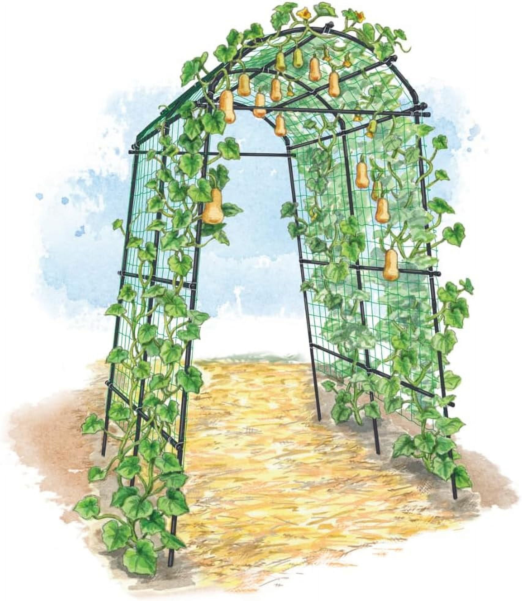 Gardener’s Supply Company Extra Tall Garden Arch Arbor | 80 Inch Tall ...