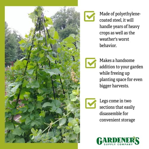 Gardener's Supply Company Extra Tall Garden Teepee Trellis | Sturdy ...