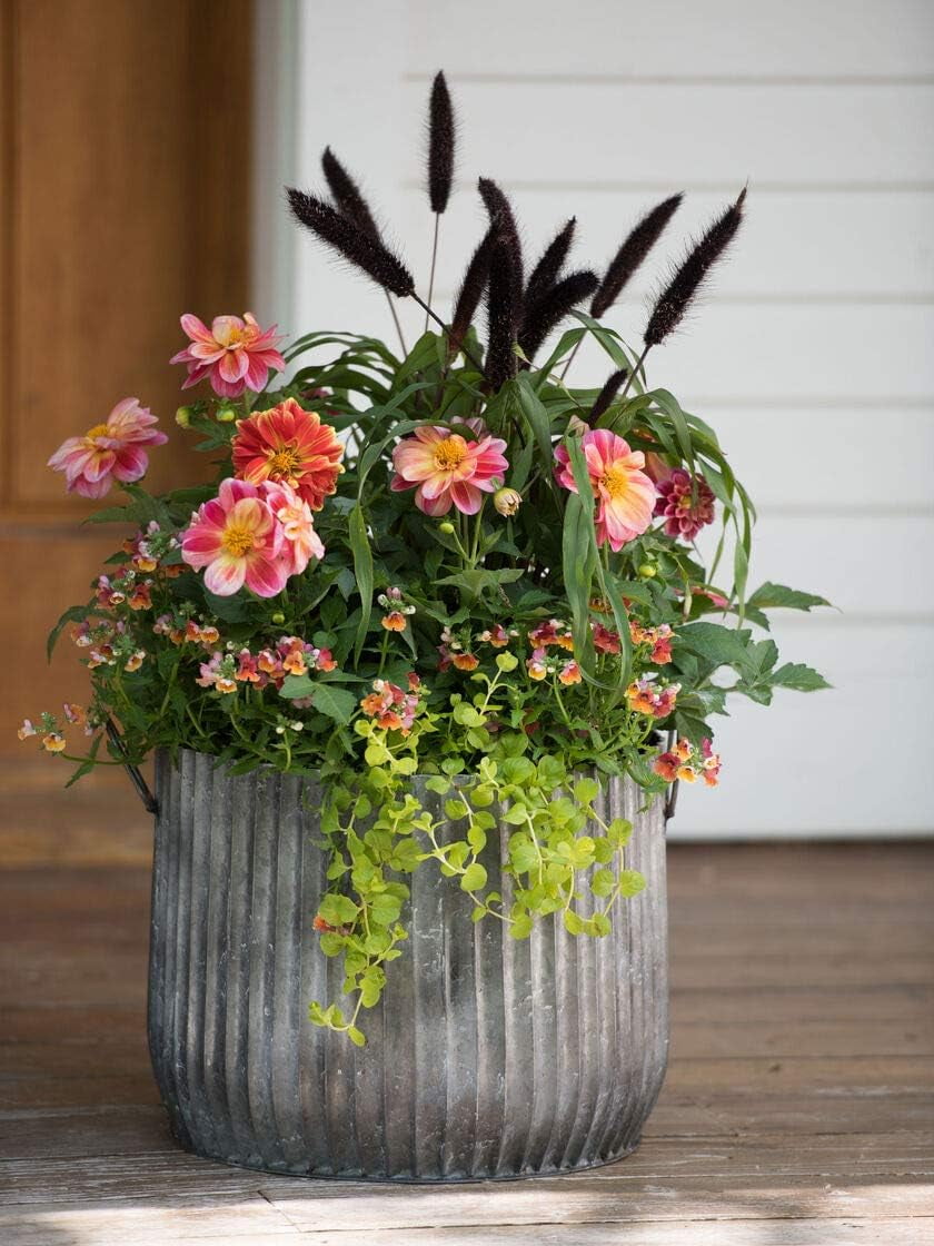 Gardener's Supply Company Galvanized Steel Ribbed Barrel Planter | 14 ...