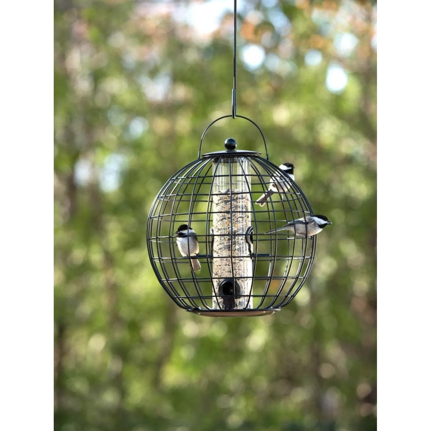 Gardener's Supply Company Globe Cage Bird Feeder | Outdoor Sturdy and ...