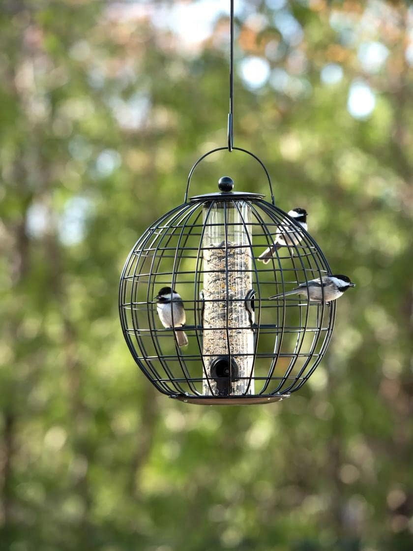 Gardener's Supply Company Globe Cage Bird Feeder | Sturdy and Squirrel ...