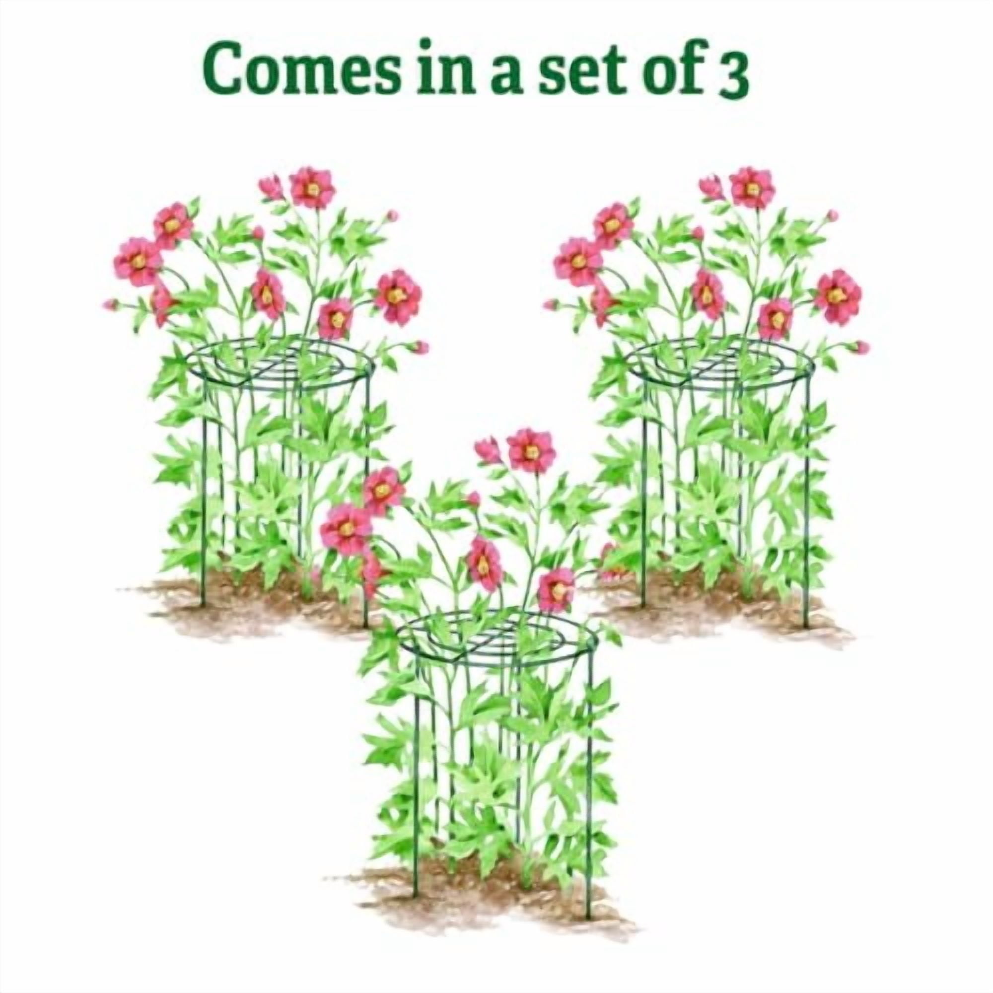Gardener's Supply Company Grow Through Plant Support | Sturdy Metal ...