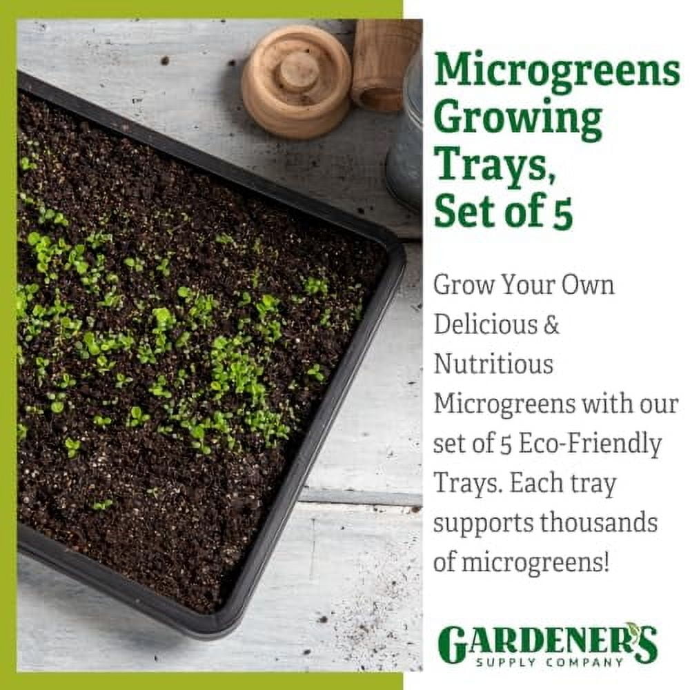Gardener's Supply Company Microgreens Growing Trays (Set of 5 ...