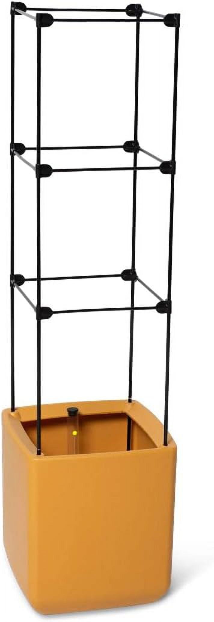 Gardener's Supply Company Oasis Self Watering Tomato Planter & Trellis ...