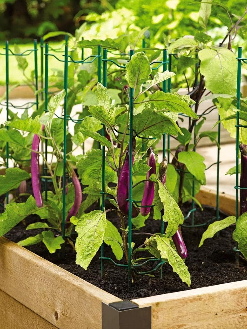 Gardener's Supply Company Pepper and Eggplant Garden Stakes | Upright ...