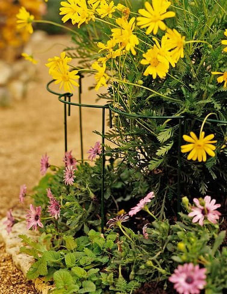 Gardener's Supply Company Small Curved Link Stakes, Set of 12 | Stands ...