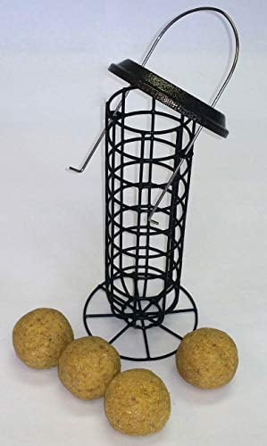 Gardener's Supply Company Suet Ball & Bird Feeder Set | Durable Powder ...