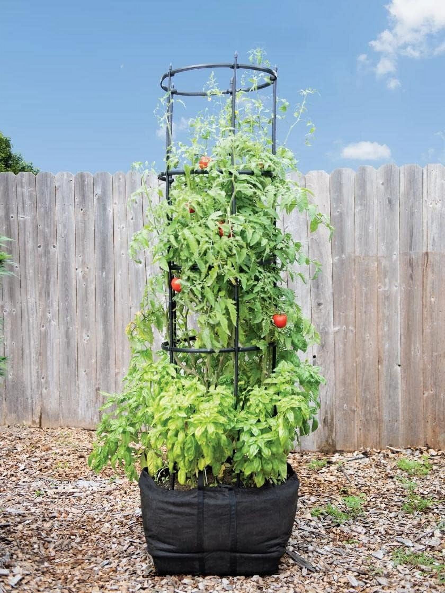 Gardener's Supply Company Titan Self Watering Tomato Planter with ...