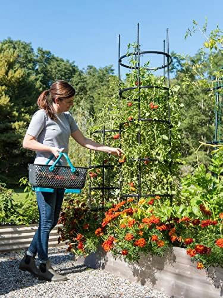 Gardener's Supply Company Titan Tall Tomato Cages I Set of 3 - Sturdy ...