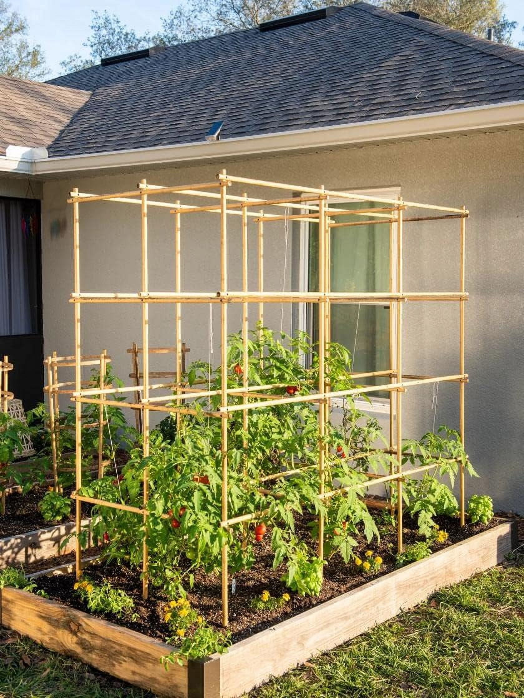 Gardener's Supply Company Tomato Six Pack Large Bamboo Structure | 78 ...