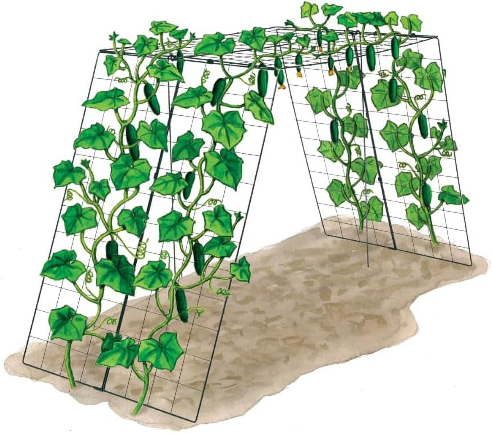 Gardener's Supply Company Over The Top Cucumber & Squash Trellis ...