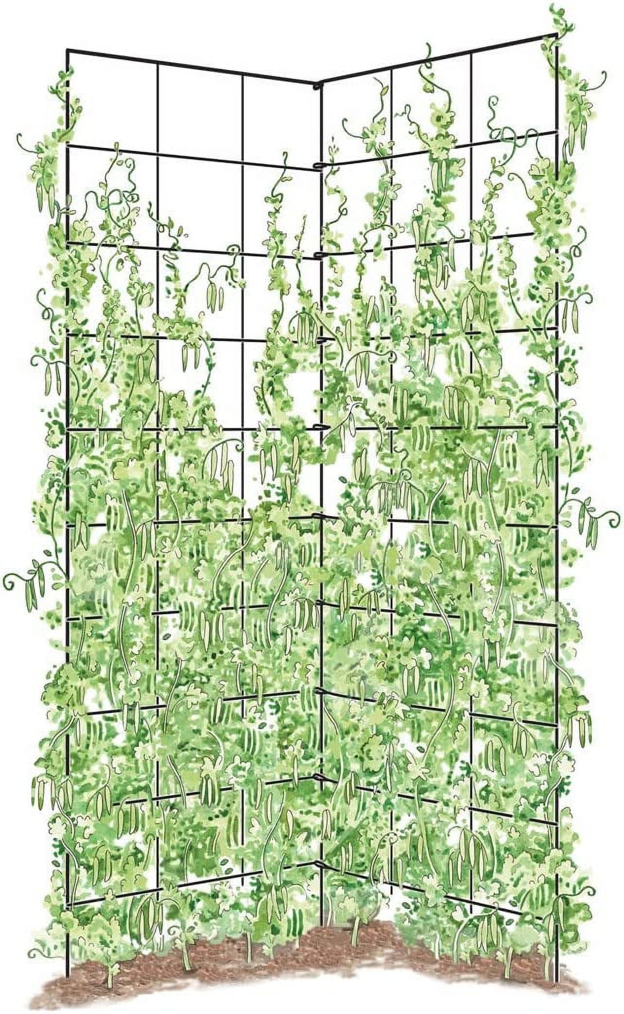 Gardener's Supply Company Two Panel Folding Trellis | Sturdy & Tall ...