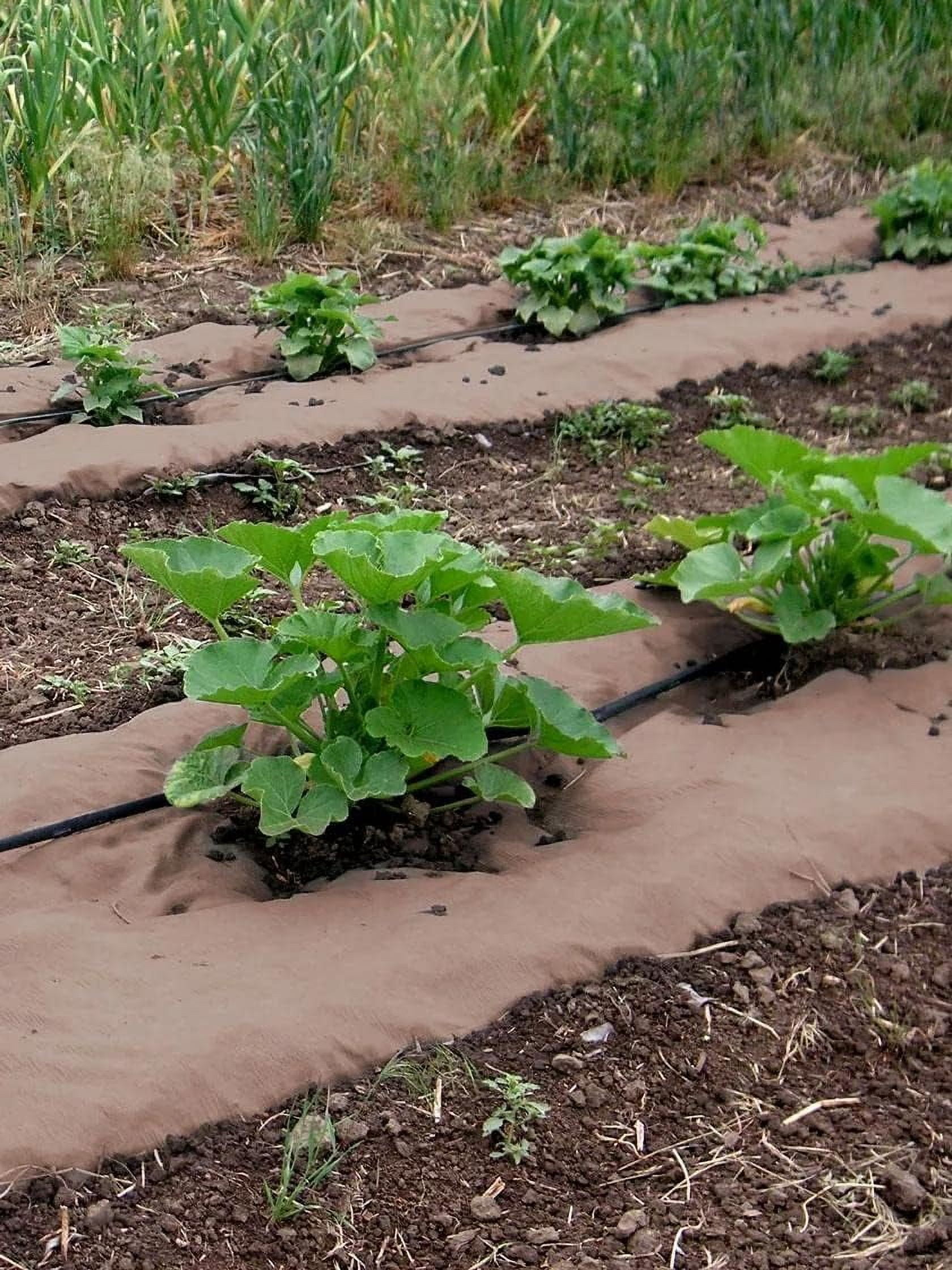 Gardener's Supply Company Weedguard Plus Paper Mulch | Biodegradable ...