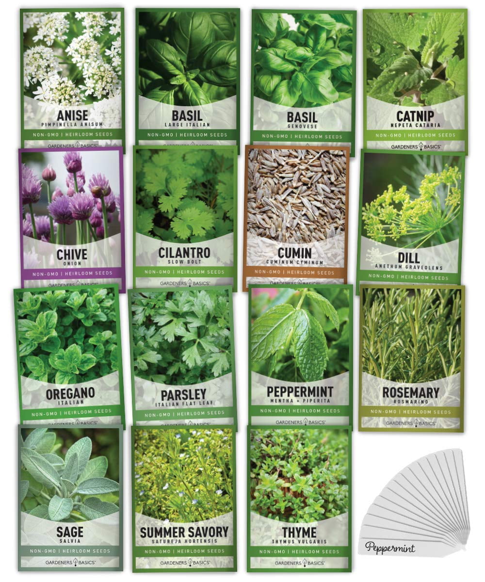 Gardeners Basics, 15 Herb Seeds For AFN1Planting Varieties Non-GMO 5200 ...