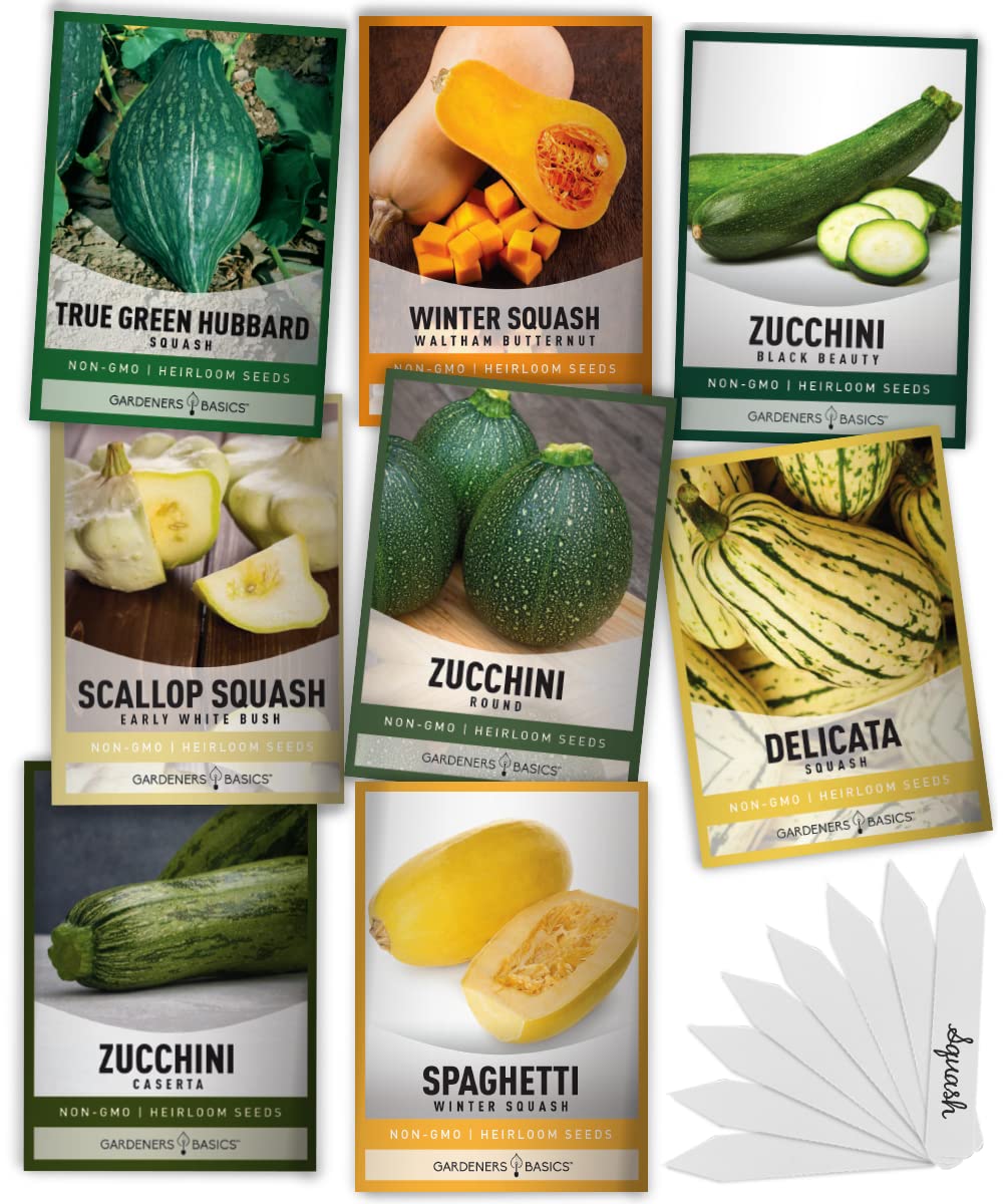 Gardeners Basics, 8 Squash Seeds for TVS1 Planting Individual Packets ...