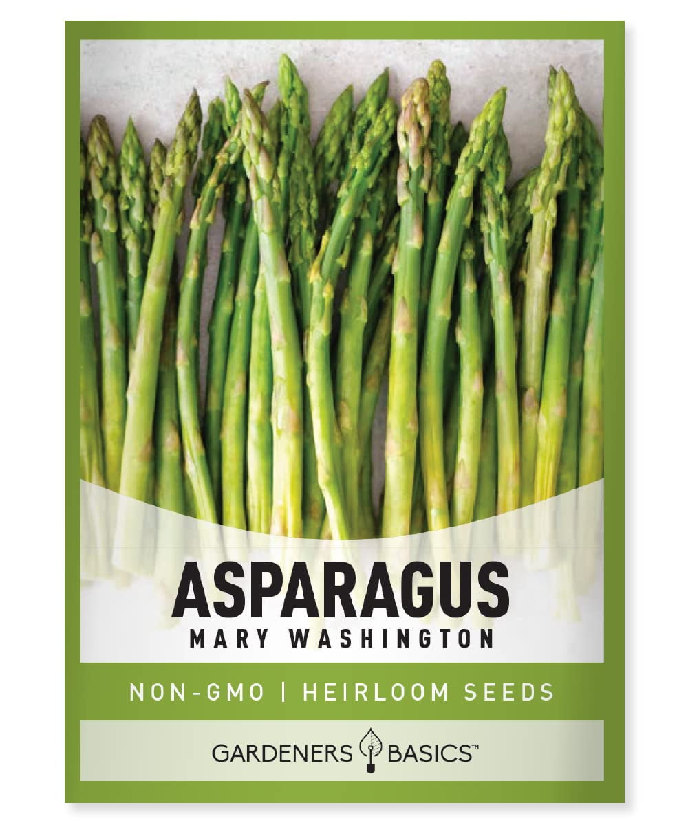 Gardeners Basics, Asparagus Seeds for Planting - Mary Washington Non ...