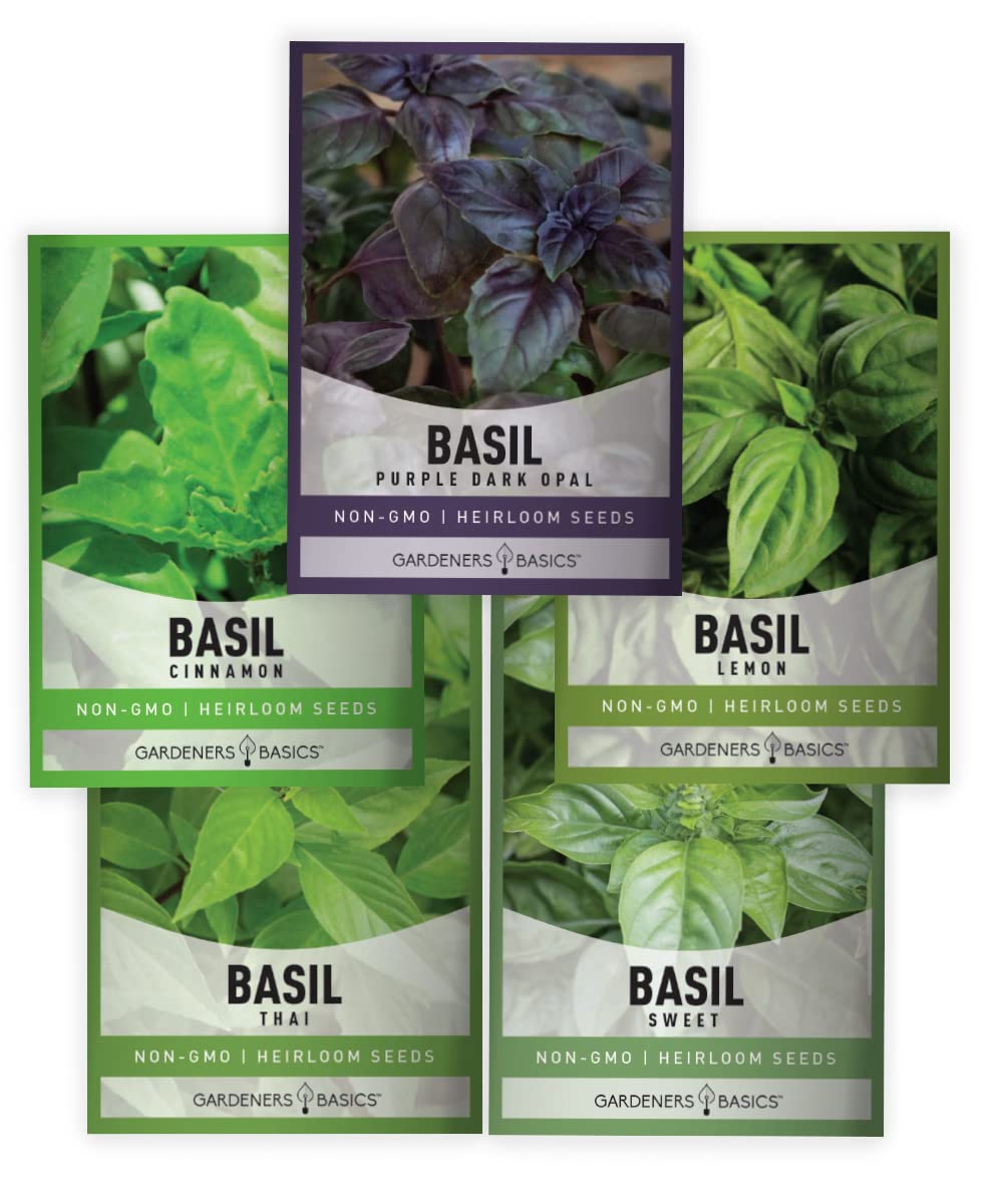 Gardeners Basics, Basil Seeds for Planting Home Garden Herbs - 5 ...