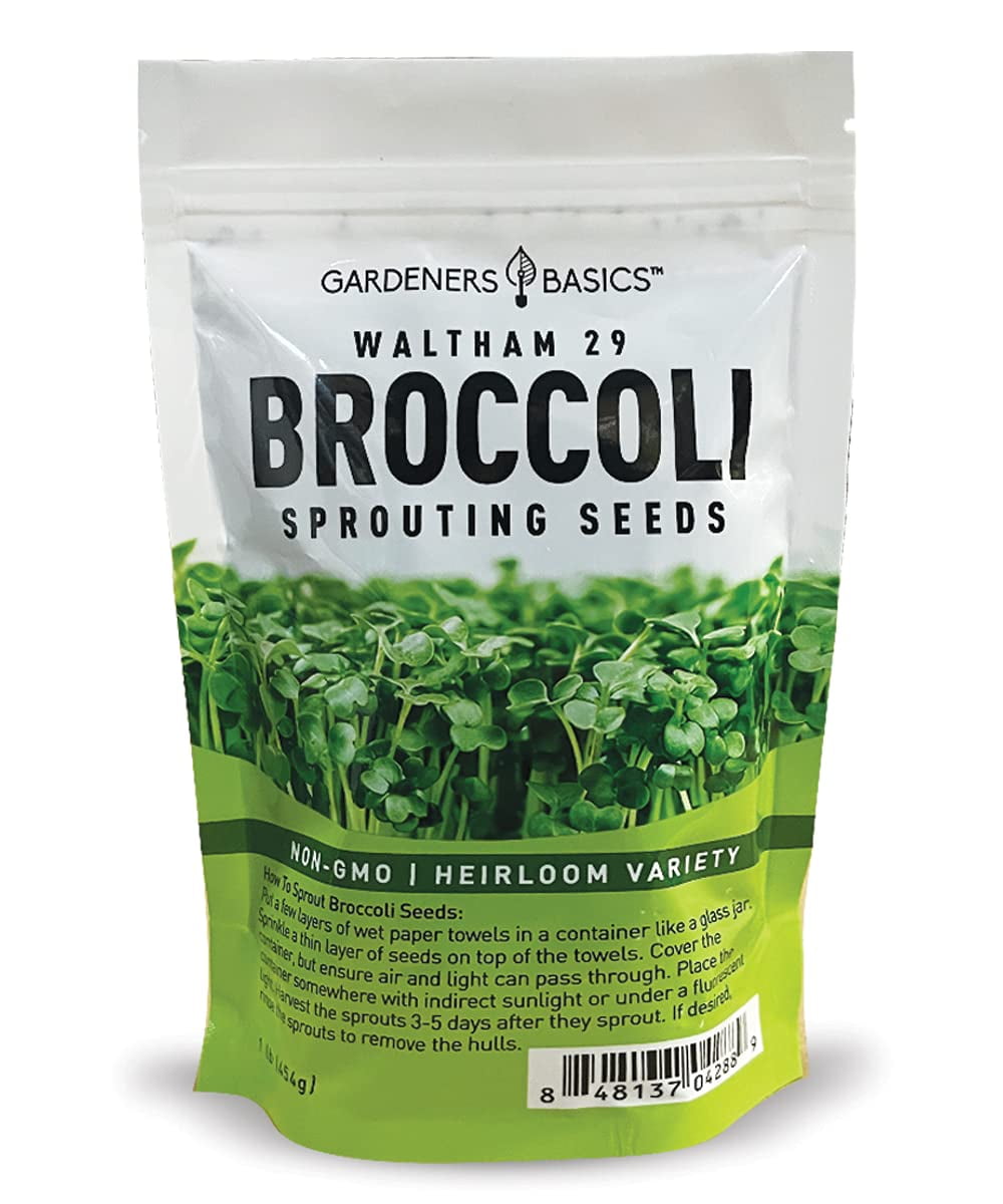 Gardeners Basics, Broccoli Seeds for Sprouting Kit MHD1and Microgreens ...