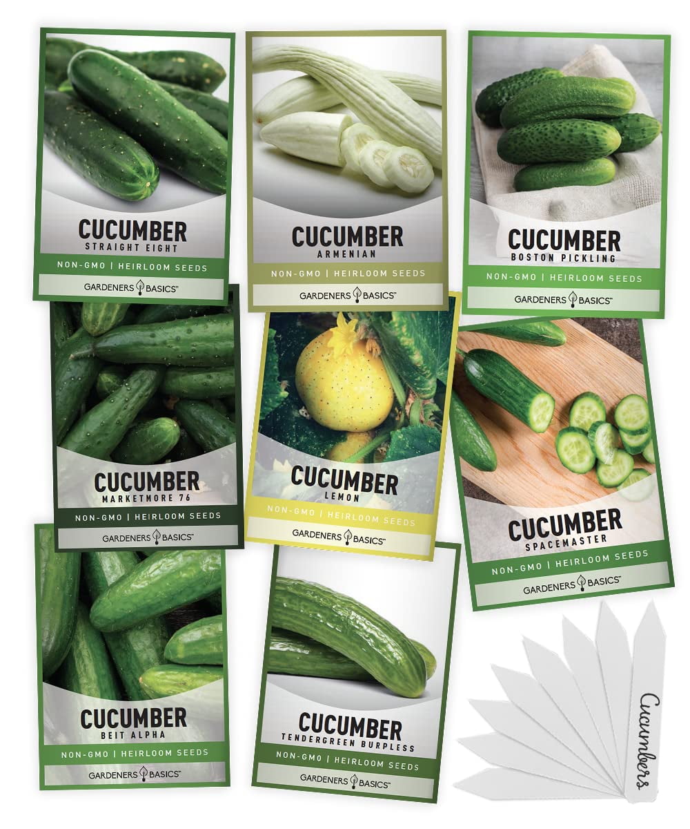 Gardeners Basics, Cucumber Seeds for Planting ITL1 Outdoors 8 Pack ...